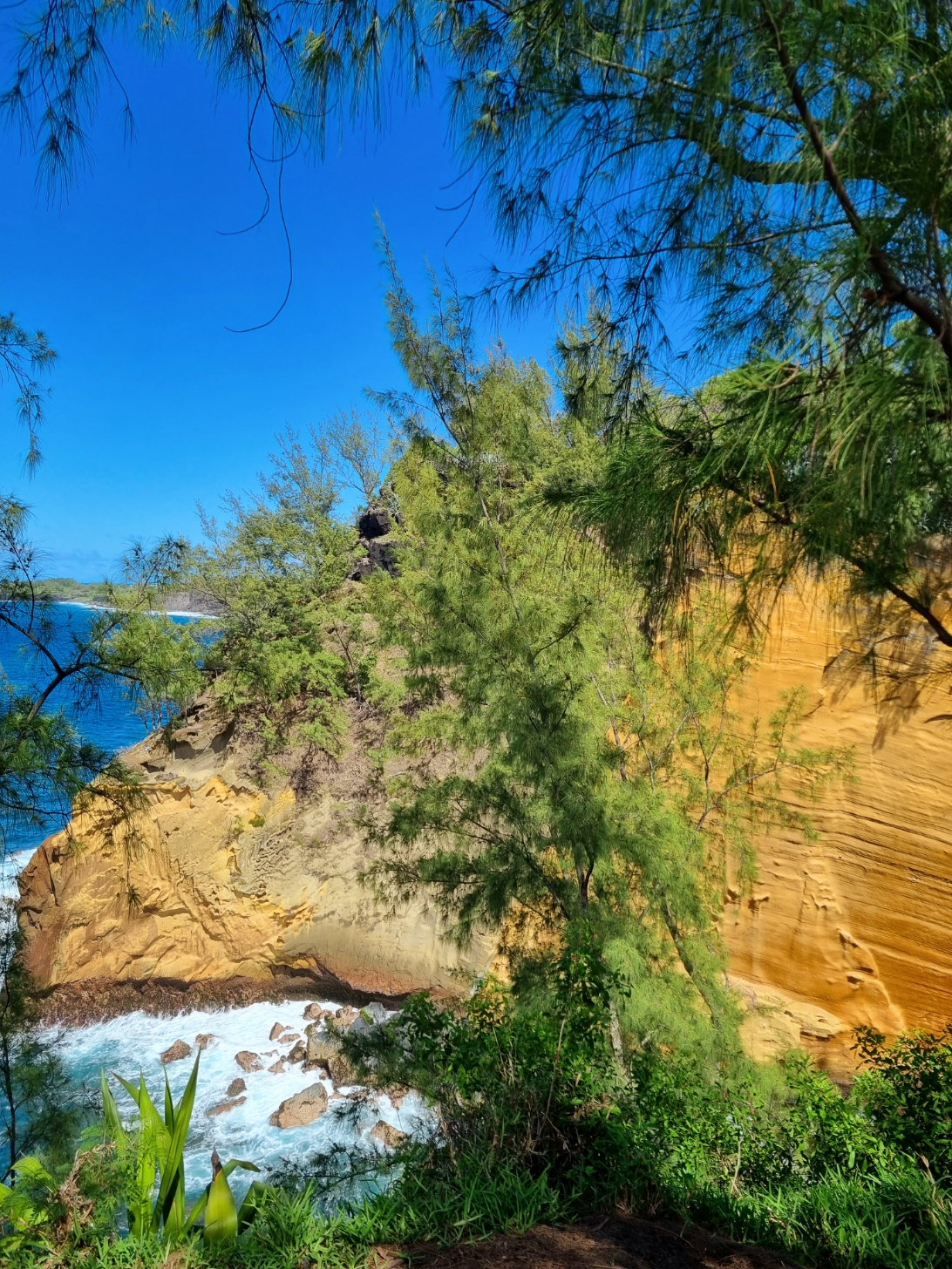 Le Cap Jaune : une randonnée incontournable dans le Sud Sauvage de La ...